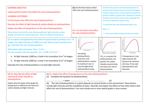 limiting factors of photosynthesis GCSE learning mat | Teaching Resources