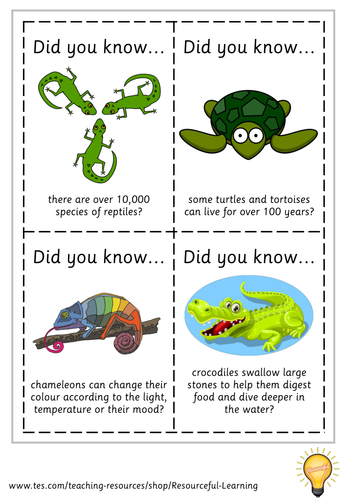 Fun Fact Cards: Reptiles | Teaching Resources