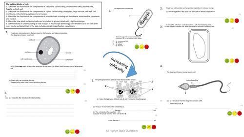 Edexcel B2 Higher Revision Question | Teaching Resources