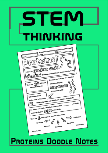 Structure of Proteins Biology Doodle Notes | Teaching Resources