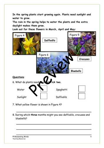 What happens in the spring? - Comprehension - Year 2 | Teaching Resources
