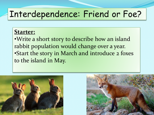 Food chains, prehistoric pants, collecting evidence. full unit of work ...