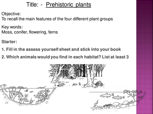 Food chains, prehistoric pants, collecting evidence. full unit of work ...
