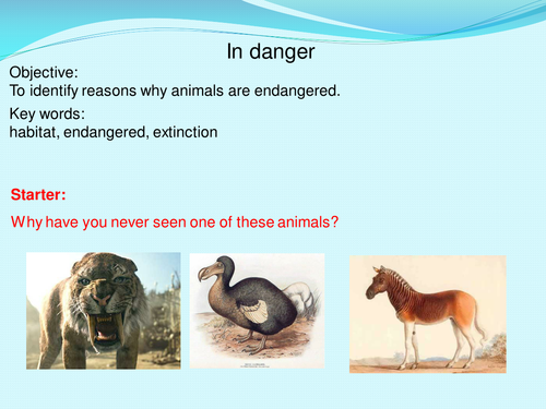 Food chains, prehistoric pants, collecting evidence. full unit of work ...