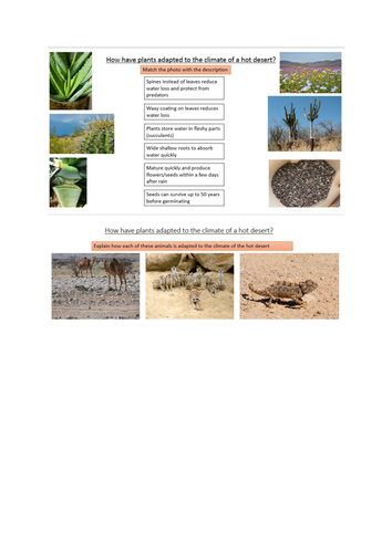 New AQA Introduction to hot deserts | Teaching Resources