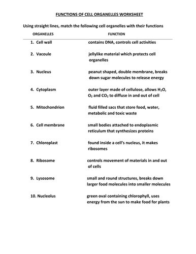 CELLS AND CLASSIFICATION WORKSHEETS WITH ANSWERS | Teaching Resources