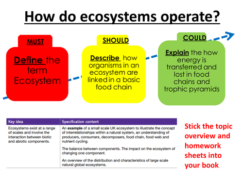 AQA A GCSE GEOGRAPHY Ecosystems introductory lessons (3 lessons ...