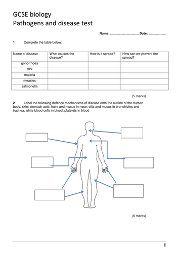 GCSE Biology Pathogens and Disease end-of-topic test and mark scheme ...
