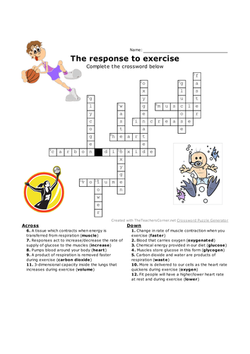 9.2 The response to exercise NEW GCSE biology specification | Teaching ...