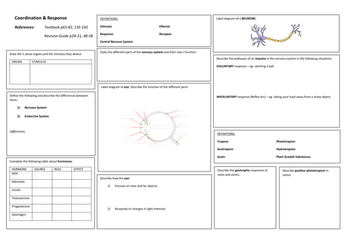iGCSE Biology COORDINATION & RESPONSE Revision Poster | Teaching Resources iGCSE Biology COORDINATION & RESPONSE Revision Poster | Teaching Resources