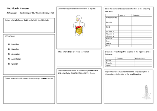 iGCSE Biology NUTRITION IN HUMANS Revision Poster | Teaching Resources