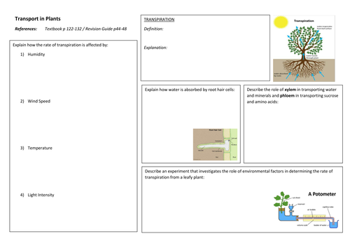 iGCSE Biology TRANSPORT IN PLANTS Revision Poster | Teaching Resources
