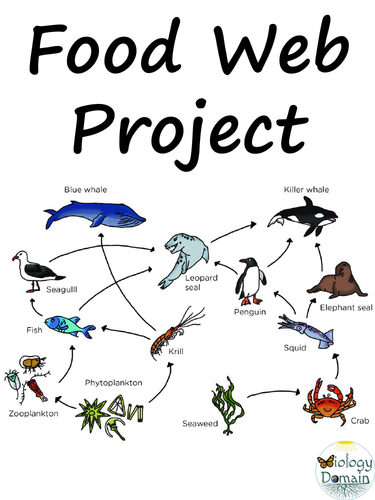 Ecology: Food Web Project | Teaching Resources