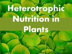Hetrotrophic nutrition in plants by adlenesangeeth - Teaching Resources ...