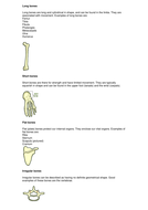 Bones of the Body TEST GCSE PE | Teaching Resources