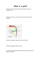 Synovial Joints GCSE PE | Teaching Resources