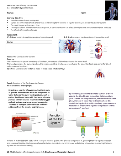 IGCSE PE 1.5. Circulatory System Revision Recap | Teaching Resources