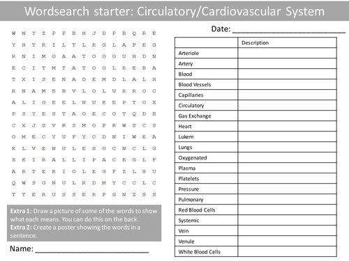 PE Cardiovascular System Keywords GCSE Starter Activities Wordsearch ...