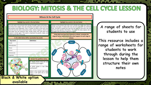 AQA GCSE Biology (Science) Mitosis & the Cell Cycle Lesson & Activities ...