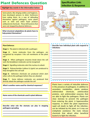 A Level Biology Plant Defences Lesson & Activities | Teaching Resources