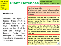A Level Biology Plant Defences Lesson & Activities | Teaching Resources