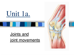 Skeleton Bones and Joints GCSE PE | Teaching Resources