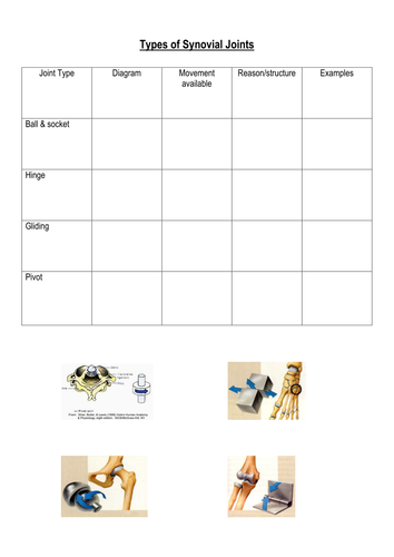 Skeleton Bones And Joints Gcse Pe Teaching Resources