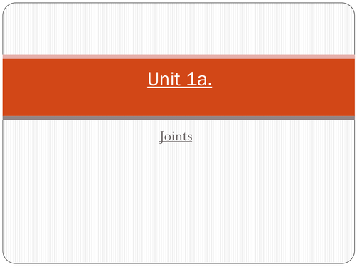 Skeleton Bones and Joints GCSE PE | Teaching Resources