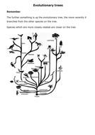 Classification, Linnaeus, Woese, AQA, | Teaching Resources