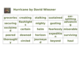 Descriptive Poetry (3 1/2 weeks) based on Hurricane by David Wiesner ...
