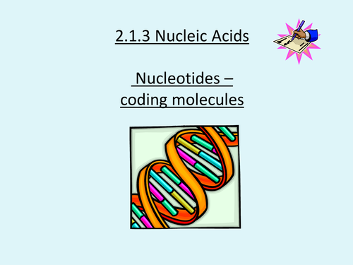 OCR A level Biology module 2.1.3 Nucleic Acids | Teaching Resources
