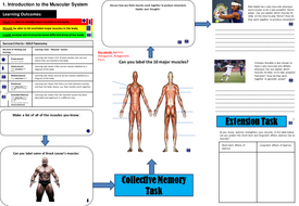 Edexcel GCSE PE (A-C) Muscular System (in full) | Teaching Resources