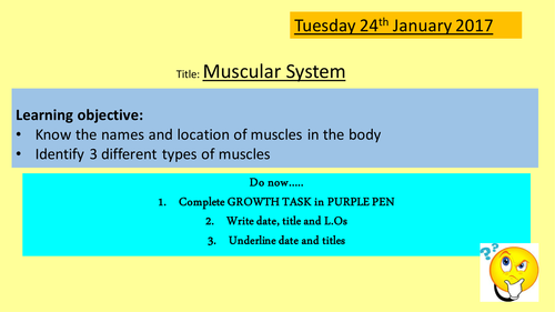VCERT - Body Systems - Muscular System | Teaching Resources