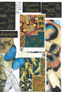 GCSE resources for 'Insects' theme. | Teaching Resources
