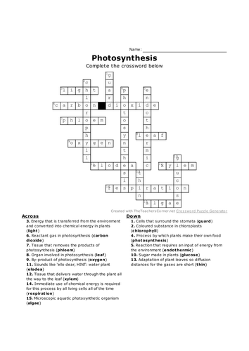 GSCE Biology crosswords NEW specification Chapter 8 Photosynthesis ...