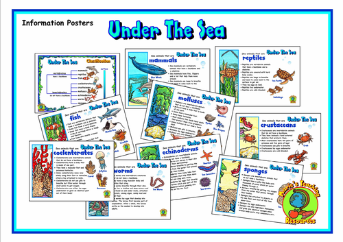 Under The Sea - Animal Classification | Teaching Resources