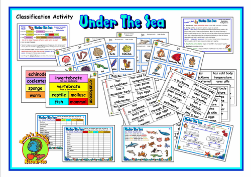 Under The Sea - Animal Classification | Teaching Resources