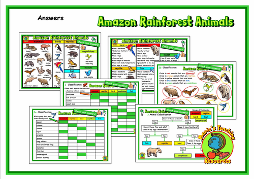 Amazon Rainforest Animals- Classification | Teaching Resources