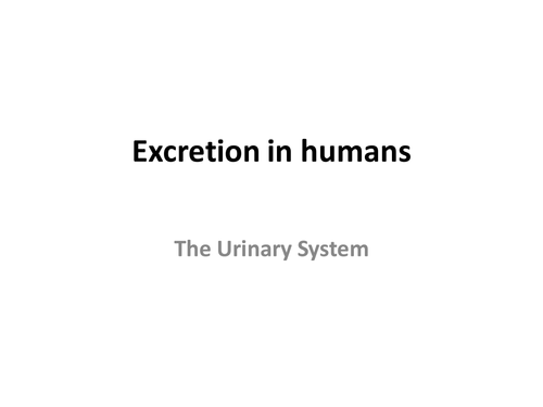 Urinary system, Kidney, Nephron, Osmoregulation, ADH - KS4 Biology GCSE ...