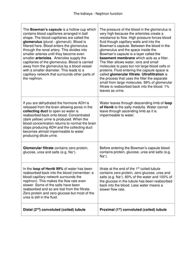 Urinary system, Kidney, Nephron, Osmoregulation, ADH - KS4 Biology GCSE ...
