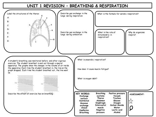 GCSE Breathing & Respiration Revision Mat | Teaching Resources