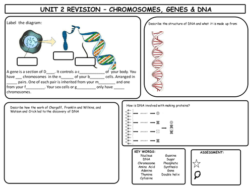 GCSE Biology Revision Mats Bundle | Teaching Resources