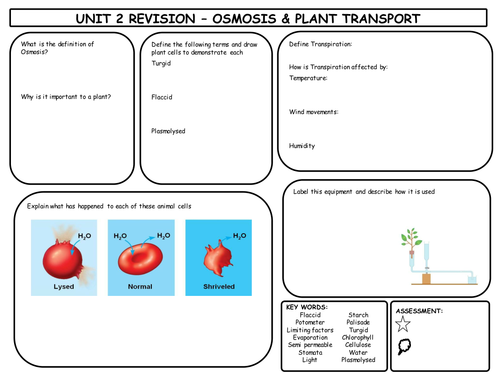 GCSE Biology Revision Mats Bundle | Teaching Resources