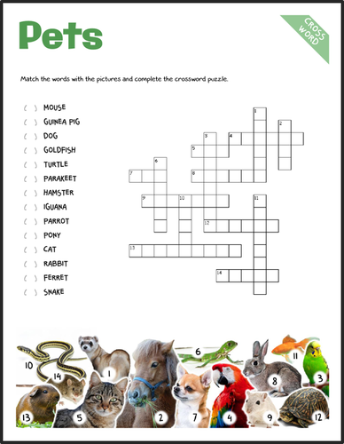Pets (Puzzles & Fun Stuff) | Teaching Resources