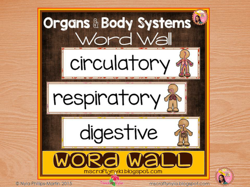 Body Systems Illustrated Word Wall | Teaching Resources