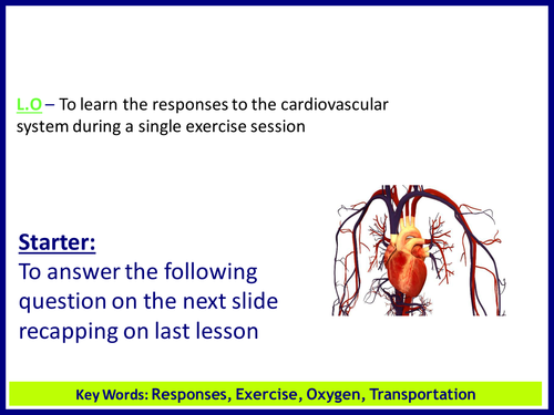 The cardiovascular system - Responses - BTEC national Sport & exercise ...