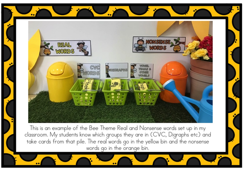 Real and Nonsense Words Bee Theme Literacy Center | Teaching Resources