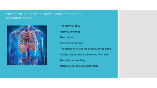 AQA GCSE PE - 1b) Cardio-respiratory system revision | Teaching Resources