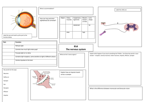 Biology B1 revision sheets | Teaching Resources