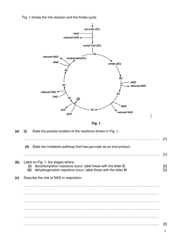 A2 Biology Questions & Answers | Teaching Resources